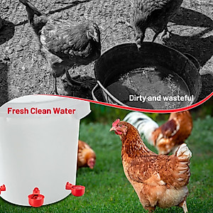 Sykria Chicken Water Cups, Automatic Waterer Kit for Poultry, 3/8 Inch Thread Filling Poultry Drinking Bowl Chicken, Ducks, Birds, Turkeys etc (6 Pack)