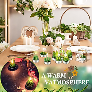 Qunclay 12 Sets Succulent Cactus Candle Mini Succulent Tealight Candle for Gift Smokeless Small Plant Candle for Christmas Birthday Wedding Party Gift Anniversary Celebration Spa Home Decor