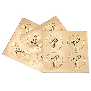 Papyrus Thank You Cards with Envelopes, Floral (12-Count)
