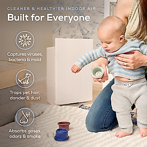 Intellipure Compact Air Purifier for Home, Allergies, Airborne & Wildfire Smoke, Dust, Mold, Pet Dander, Pollen, Meets or Exceeds the HEPA Standard with up to 99.99% Removal of Airborne Particles