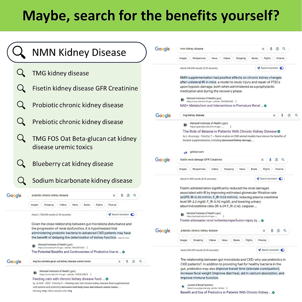 Eventually Young 12-in-1 Kidney Support for Dog & Cat with NMN & Fisetin - Super Phosphate Binder Kidney and Liver Supplement for Feline, Canine Healthy Aging & Longevity (30 Capsules)