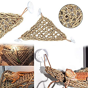 PINVNBY Bearded Dragon Tank Accessories,Lizard Habitat Hammock Reptile Natural Coconut Shell Cave Jungle Climber Bendable Vines Leaves Decor for Gecko Chameleon Snakes Lizards(5 Pcs)