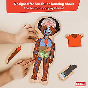 Kidzlane Boy Wooden My Body Puzzle for Toddlers & Kids - 29 Piece Boys Anatomy Puzzle Kid Play Set - Anatomy for Kids, Skeleton Toys for Kids Ages 3 Plus