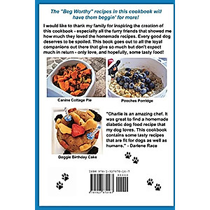 The Healthy Homemade Dog Food Cookbook: Over 60 "Beg-Worthy" Quick and Easy Dog Treat Recipes: Includes vegetarian, gluten-free and special occasion ... dog health and nutritional considerations