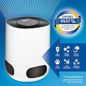 Clorox Air Purifiers for Home, True HEPA Filter, Small Rooms Up to 200 Sq Ft, Removes 99.9% of Mold, Viruses, Wildfire Smoke, Allergens, Pet Allergies, Dust, AUTO Mode, Whisper Quiet