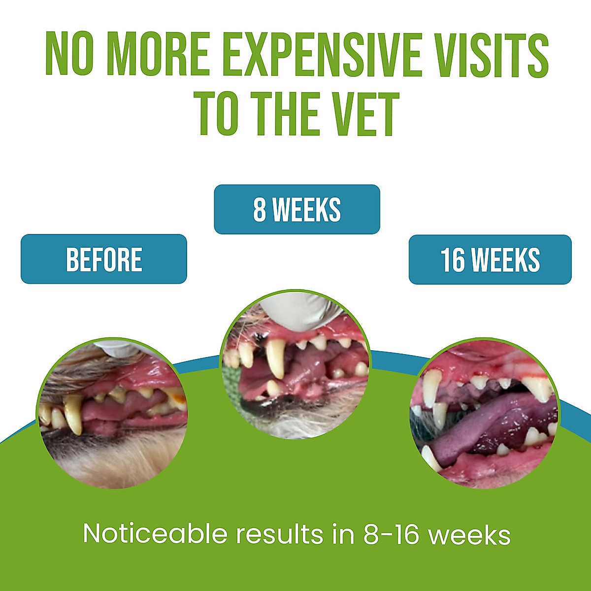 Caniclean Seaweed for Dogs Teeth - Dog Tartar Removal Tool, Plaque Remover, and Breath Freshener - Get Plaque Off Dogs Teeth Naturally. 14oz/396g.