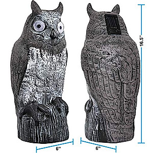 Galashield Owl Decoy | Plastic Owls to Scare Birds Away with Solar Powered LED Eyes | Owl Statue for Garden & Outdoors