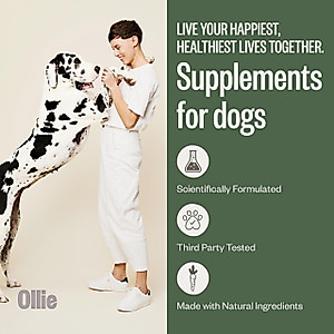 Ollie Belly Rubs Dog Probiotic Chews - Probiotics for Dogs and Ollie Zoomies Dog Hip and Joint Supplement - Glucosamine for Dogs