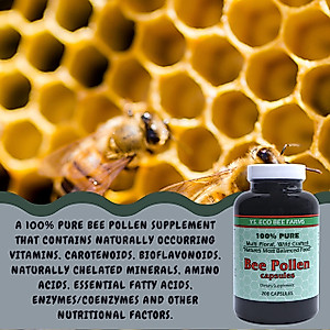 Y.S. Eco Bee Farms 100% Pure, Wild Crafted Bee Pollen Capsules - Organic Bee Pollen Vitamin Supplements Amino Acids, Organic Protein, Vitamin C, Vitamin B12 Gluten Free - 200ct with Bonus Key Chain