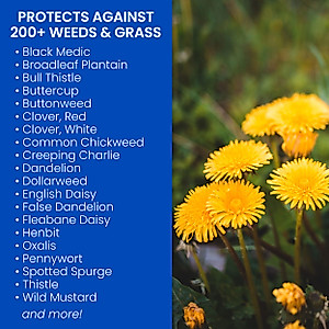 BioAdvanced Lawn Weed Killer, Ready-to-Spray, 32 oz, 16,000 Sq Ft