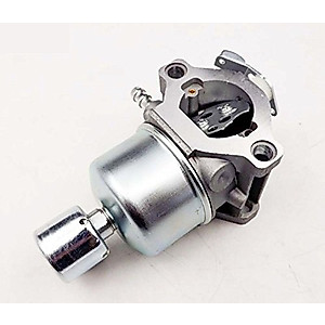 Goodfind68 New Carburetor compatible with Briggs & Stratton 791889 Replaces # 698782, 693194, 499151