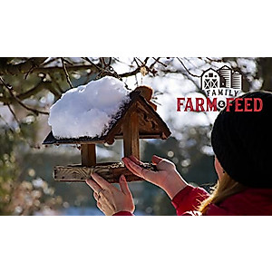 FAMILY FARM AND FEED | Four Seasons | Striped Sunflower Seed | Wild Bird Food | Backyard Songbird | 3 Pounds