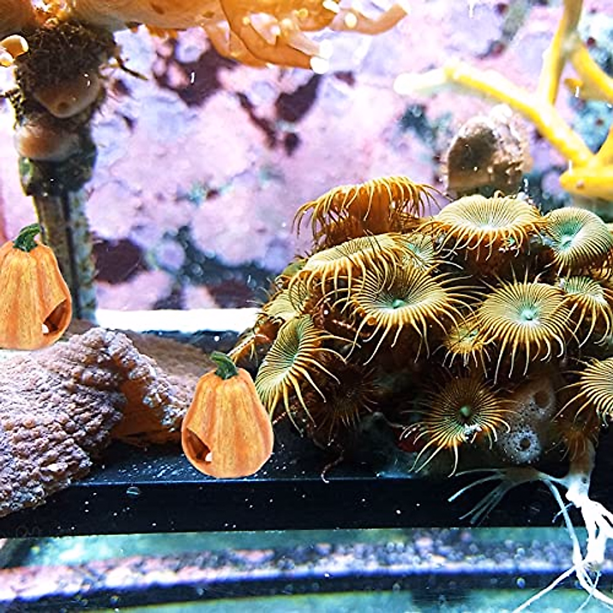 Balacoo Aquarium Resin Ornament Pumpkin Design Fish Tank Hide Hut Underwater Landscape Decorations Hideaway for Betta, Small Lizards, Turtles, Reptiles, Amphibians (Thin Pumpkin)