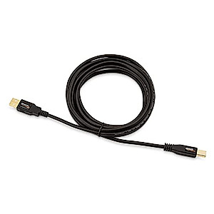 Amazon Basics USB-A to USB-B 2.0 Cable for Printer or External Hard Drive, Gold-Plated Connectors, 10 Foot, Black