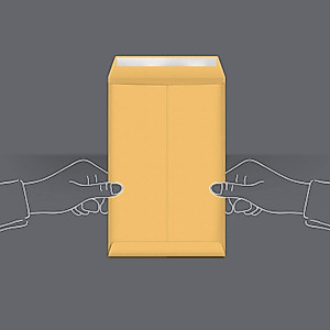 Amazon Basics Catalog Mailing Envelopes, Peel & Seal, 10x13 Inch, Brown Kraft, 100-Pack