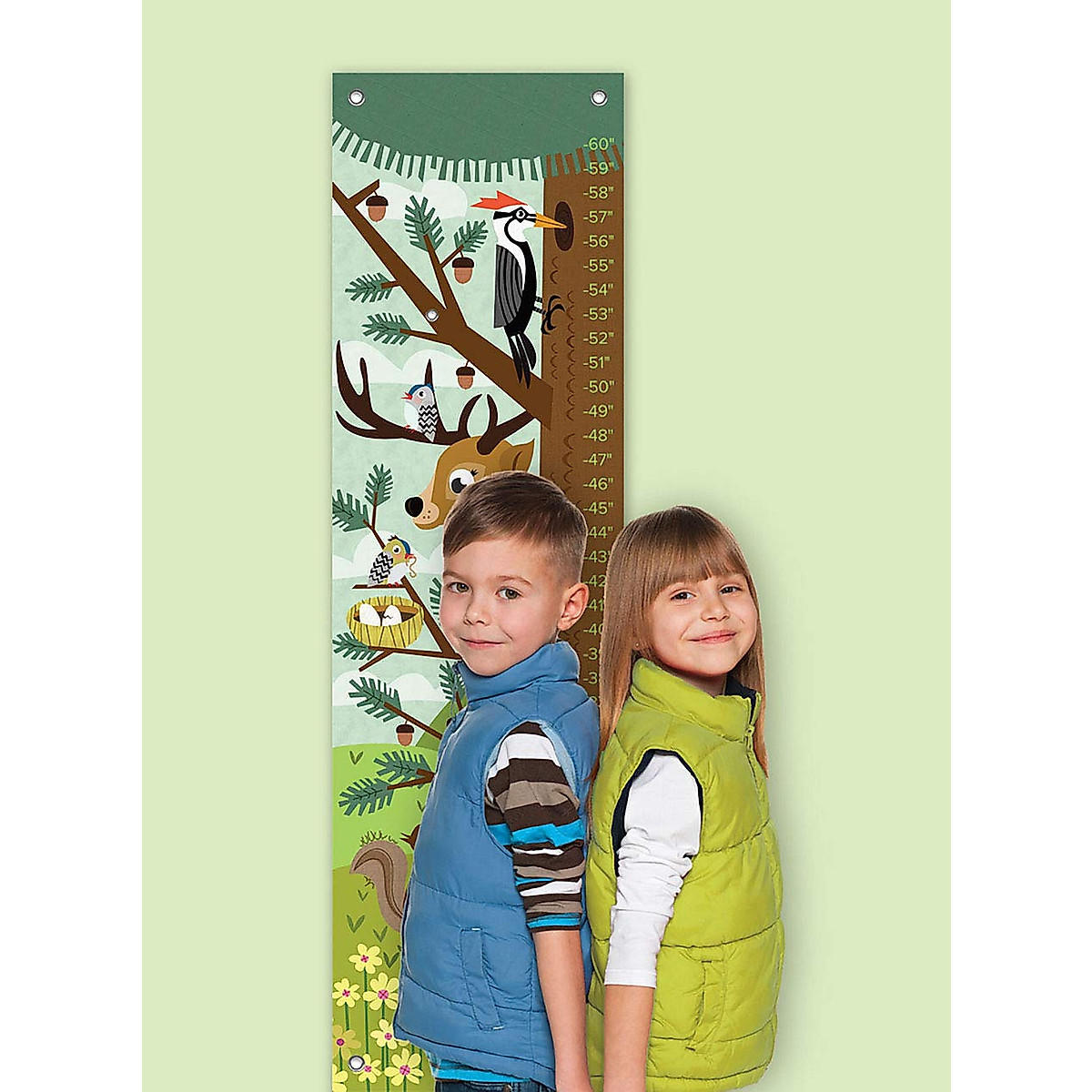 Oopsy Daisy Growth Charts Woodland Creatures by Jenn Ski, 12 by 42-Inch