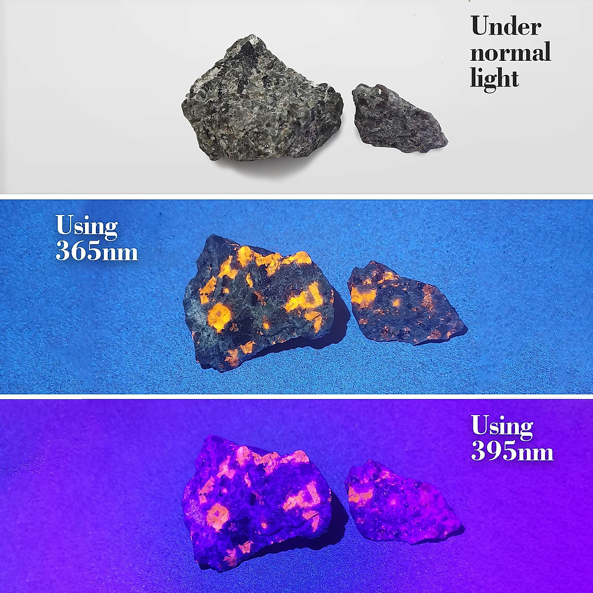 TNATRA UV 365nm and 395nm Flashlight, UV Blacklight for UV Glue Curing,Rocks & Minerals Hunting,Pet Stain Detector&Scorpion Finder, Dry Stain, Portable&Zoomable LED Ultraviolet Flashlight