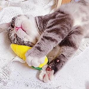 AZOFFYIU Cat Toys, Interactive Cat Toy for Indoor Cats, Soft and Durable Crinkle Sound Catnip Toys, Catnip Filled Mouse Cat Teething Chew Toy (Pack of 12)