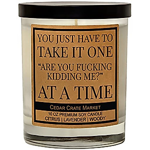 Take It One, Funny Candles Gifts for Women, Hand Poured in The USA, Men, Best Friends Birthday Gifts for Women, Friendship Gifts for Her, Funny Gifts for Friends, Mom, BFF, Girlfriend, Boyfriend