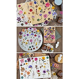 Knaid Pressed Flower Themed Stickers Set (320 Pieces) Dried Flowers Resin Stickers Decals Floral Botanical Journaling Stickers for Scrapbook Supplies Junk Journal Bullet Journal Planner Laptops