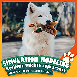 ALL FOR PAWS Classic Dog Pheasant Toys, Squeaky Dog Toys Stuffed Animal Dog Hunting Plush Toy, Large