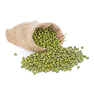 Nature Jims Mung Bean Sprout Seeds – 16 Oz Sprouting Seeds – Premium Mung Bean Seeds – NON GMO- Resealable Bag for Longer Freshness – Rich in Vitamins, Minerals, Fiber