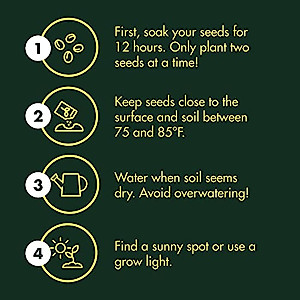 Indoor Pepper Seed Starter Kit – Pepper Growing Kit with 4 Non-GMO Hot Pepper Seeds, Wood Planter Box, Soil, Pots, Plant Markers, Vegan Gardening Gifts, Grow Your Own Indoor Vegetable Garden Kit