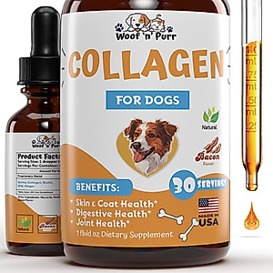 Liquid Collagen for Dogs | Collagen for Dogs | Dog Liquid Collagen | Dog Collagen | Dog Collagen Drops | Daily Collagen for Dogs | Collagen Dog | Collagen Dogs | Collagen Drops for Dogs | 1 fl oz