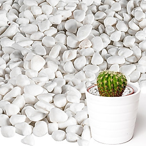 Sukh White Pebbles for Plants - Mini Decorative Rocks White Stones Garden Landscaping Fish Tank Vase Filler Cactus Succulents Aquariums Bonsai White Rock Nearly 400g