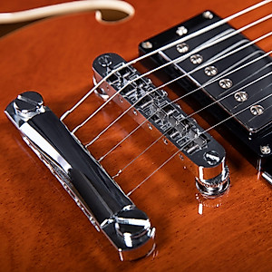 Redid Semi-Hollow Body Electric Guitar RD-100 Jazz Guitar with F-Hole,Maple neck,humbucker Pickups(Brown)
