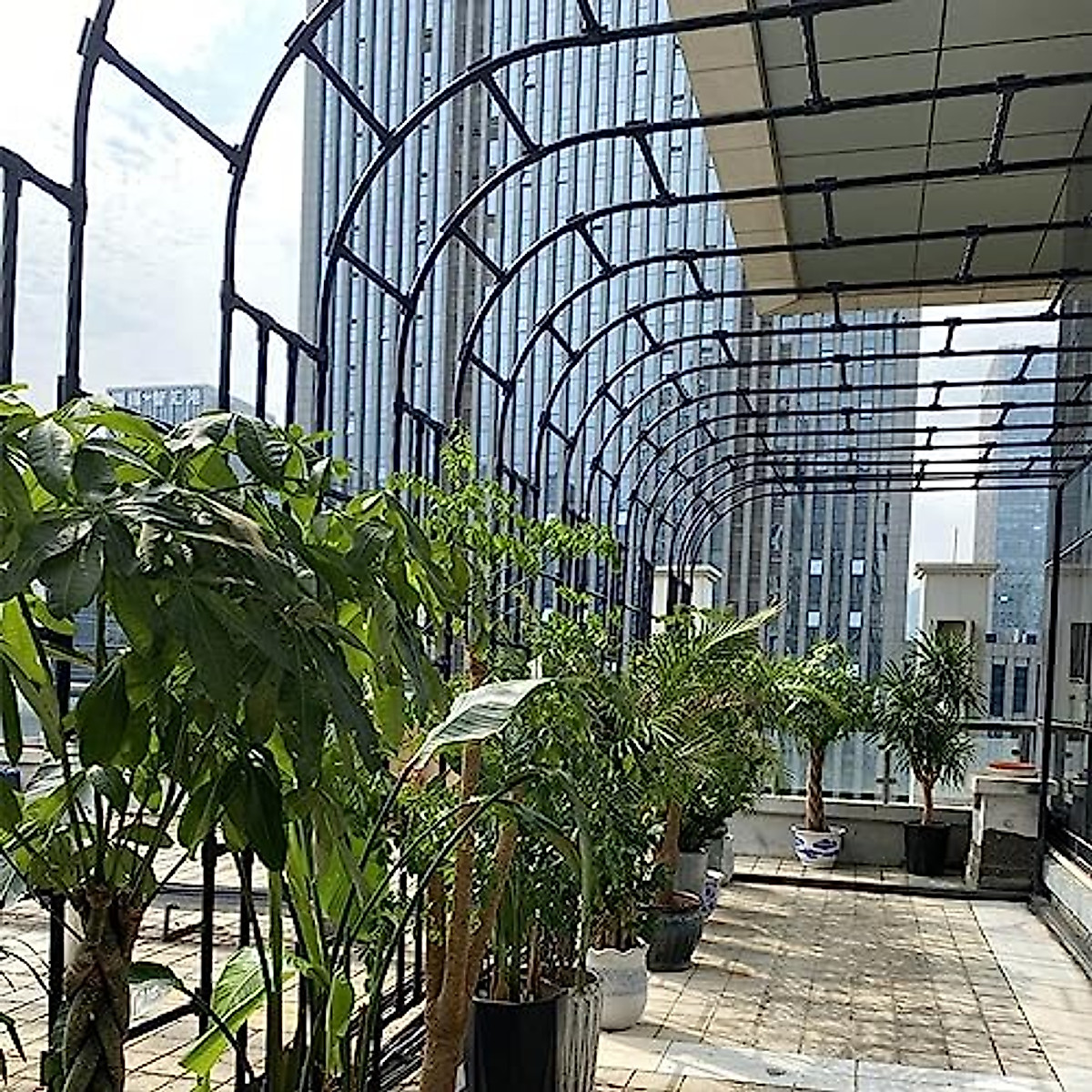 Half Side Wall Mounted Garden Archway,Half Arch Rose Arch,Pergola Climbing Aid Trellis Archway for Climbing Plants,Half Rose Arch for Indoor,Outdoor,Garden Lawn,Wedding (Color : White, Size : 0.6X24