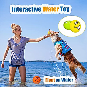 HOLYSTEED Latex Dog Squeaky Toys Rubber Soft Dog Toys Chewing Squeaky Toy Fetch Play Balls Toy for Puppy Small Pets Dog 6pcs for Yorkie, Chihuahua, Poodle, Corgi