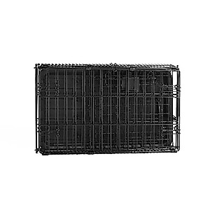 Amazon Basics Durable, Foldable Metal Wire Dog Crate with Tray, Single Door, 22 Inches, Black