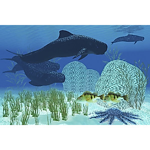Posterazzi Two rockfish watch cautiously as a pod of pilot whales swim past a coral reef and a Crown of Thorns starfish Poster Print, (17 x 11)