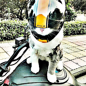 Bahar Pet Helmet Mini Dog Cat Helm Doggie Motorcycle Bike Hat Cap Outdoor Safety Anti Collision