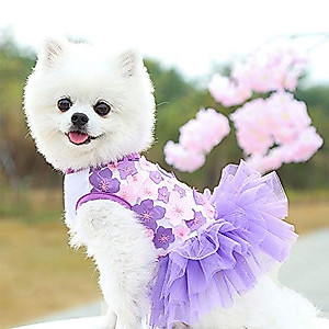 Sebaoyu Dog Dresses for Small Dogs Girl 3 Pack Summer Puppy Clothes Outfit Apparel Female Cute Cat Skirt Pup Tutu Pink Yorkie Clothing Breathable Pet Dress for French Bulldog Chihuahua (AA, X-Small)