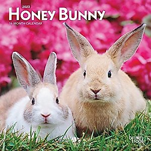 Honey Bunny | 2023 7 x 14 Inch Monthly Mini Wall Calendar | BrownTrout | Domestic Small Cute Animals