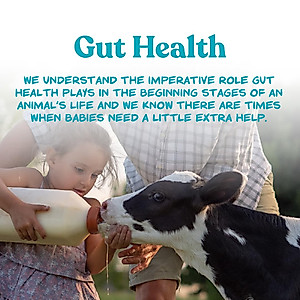 Manna Pro Nurse All Multi Species Milk Replacer with Probiotics | Helps Support Healthy Gut and Digestions| 8lbs