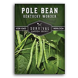 Survival Garden Seeds - Kentucky Wonder Pole Bean Seed for Planting - Packet with Instructions to Plant and Grow Delicious Snap Beans in Your Home Vegetable Garden - Non-GMO Heirloom Variety
