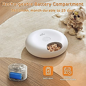 iPettie Donuts Frost 6 Meal Cordless Automatic Pet Feeder, Dry & Wet Food Automatic Cat Feeder with Two Ice Packs, Rechargeable Massive Battery, Programmable Timer, Holds 6 x ½ lb. of Food