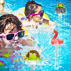 XY-WQ Floating Pool Thermometer, Large Size Easy Read for Water Temperature with String for Outdoor and Indoor Swimming Pools, Spas, Hot Tubs, Ponds (Flamingo)