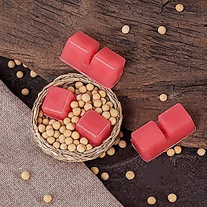 YIIA Scented Wax Melts, Wax Cubes, Scented Wax Melts for Warmer, Scented Wax Melts Wax Cubes for Relaxing Aromatherapy,Spa, Bath, Yoga（12 x2.5oz）