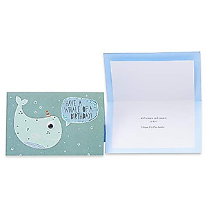 American Greetings Premium Birthday Cards, Kid-Friendly Designs (8-Count)