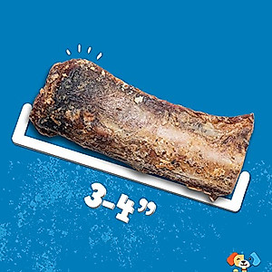 Jack&Pup Rib Bones for Dogs | All Natural Large Dog Bones| Single Ingredient Dog Chew Bones for Medium Dogs (Rib Bone Bites (20 Pack))