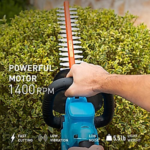 WISETOOL Cordless Hedge Trimmer, 20V Electric Bush Trimmer with 22" Dual-Action Blades, 3/4" Cutting Capacity, Shrub Trimmer Include 2.0Ah Battery, Fast Charger and Protection Glasses
