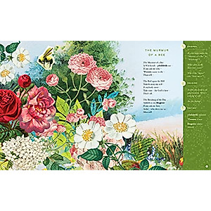 The Illustrated Emily Dickinson: 25 Essential Poems (The Illustrated Poets Collection, 1)