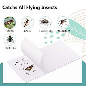Qualirey 20 Pack Replacement Fly Glue Boards, Compatible with Gardner FlyWeb Fly Classic and Plus Light Trap, Sticky Cards Fly Traps for Indoors, Trap Fruit Flies, Mosquitoes, Gnats