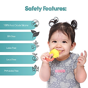 Baby Fruit Feeder Pacifier (2 Pack), Fresh Food Feeding Teether for Toddler, BPA Free, Soothing Gum Relief, Infant Silicone Teething Toy, Includes All The Sizes of The Silicone Nipple Pouches