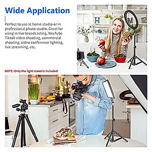 Neewer Photography Photo Studio 50cm / 20inch Aluminum Mini Table Top Backlight Stand (1 Stand)