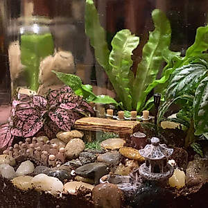 Mini Zen Garden Accessories, Outdoor Fairy Garden Miniatures, Sandbox Decorations, Zen Tray Items, Terrarium Ornaments, Dollhouse Supplies, Desk Top Figurines, Bonsai Decorative Craft Tools Kit